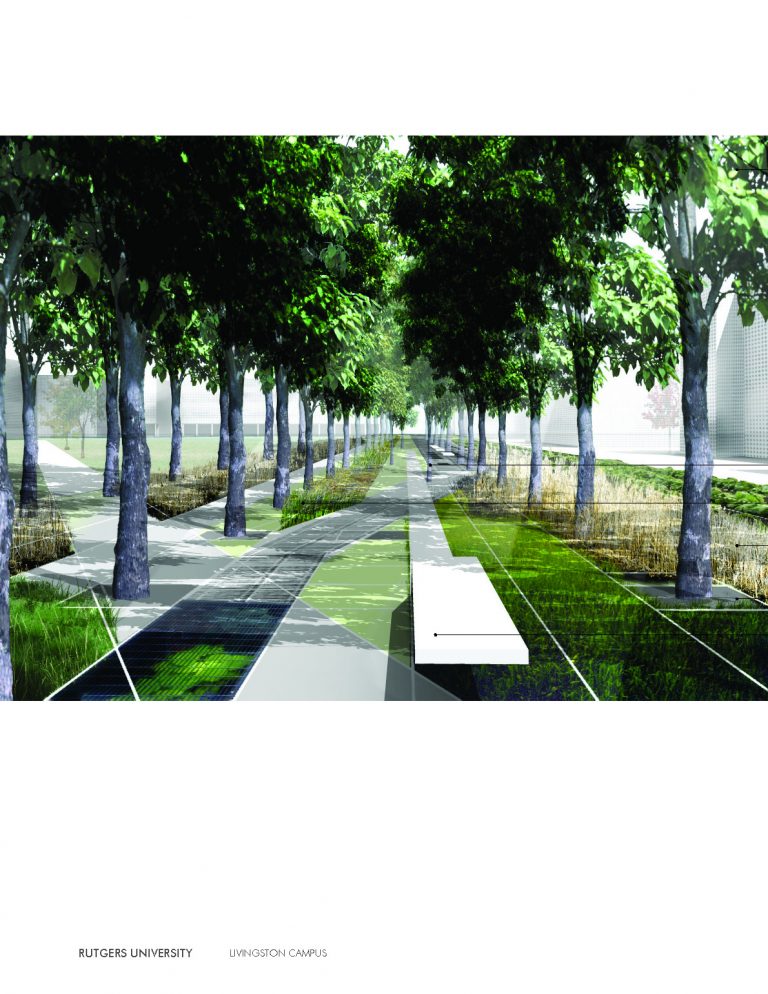 Rutgers University Livingston Campus Open Space Design Guidelines - ACLA