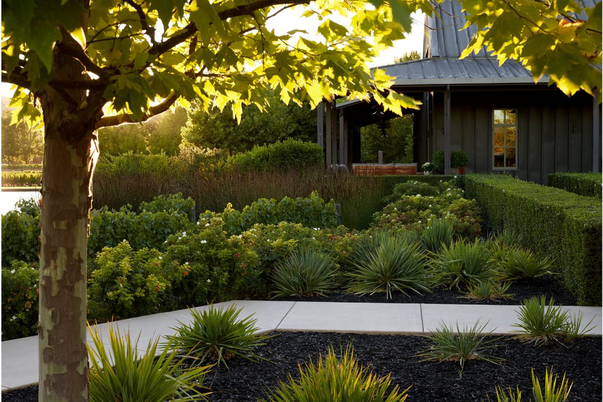 Alpha Omega Winery - ACLA