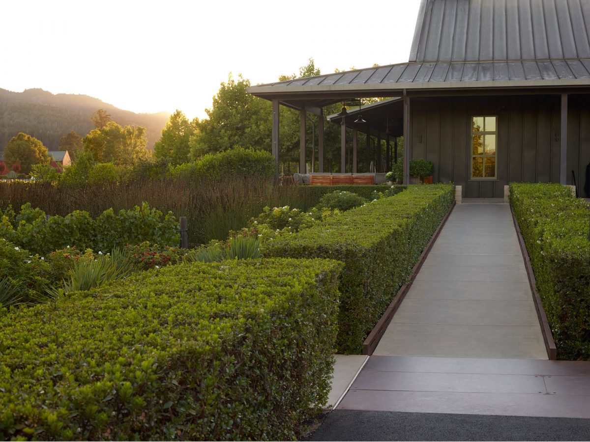 Alpha Omega Winery - ACLA
