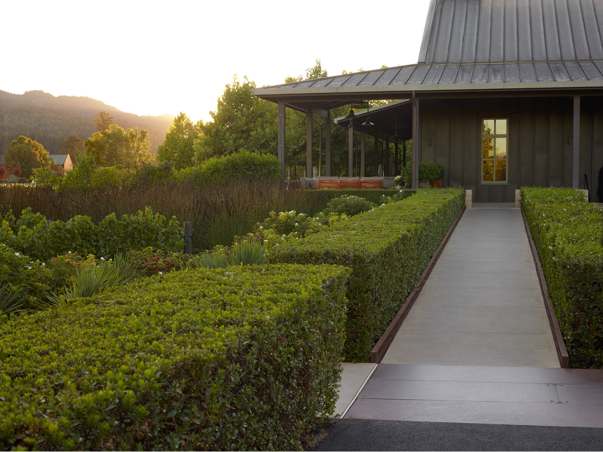 Alpha Omega Winery - ACLA