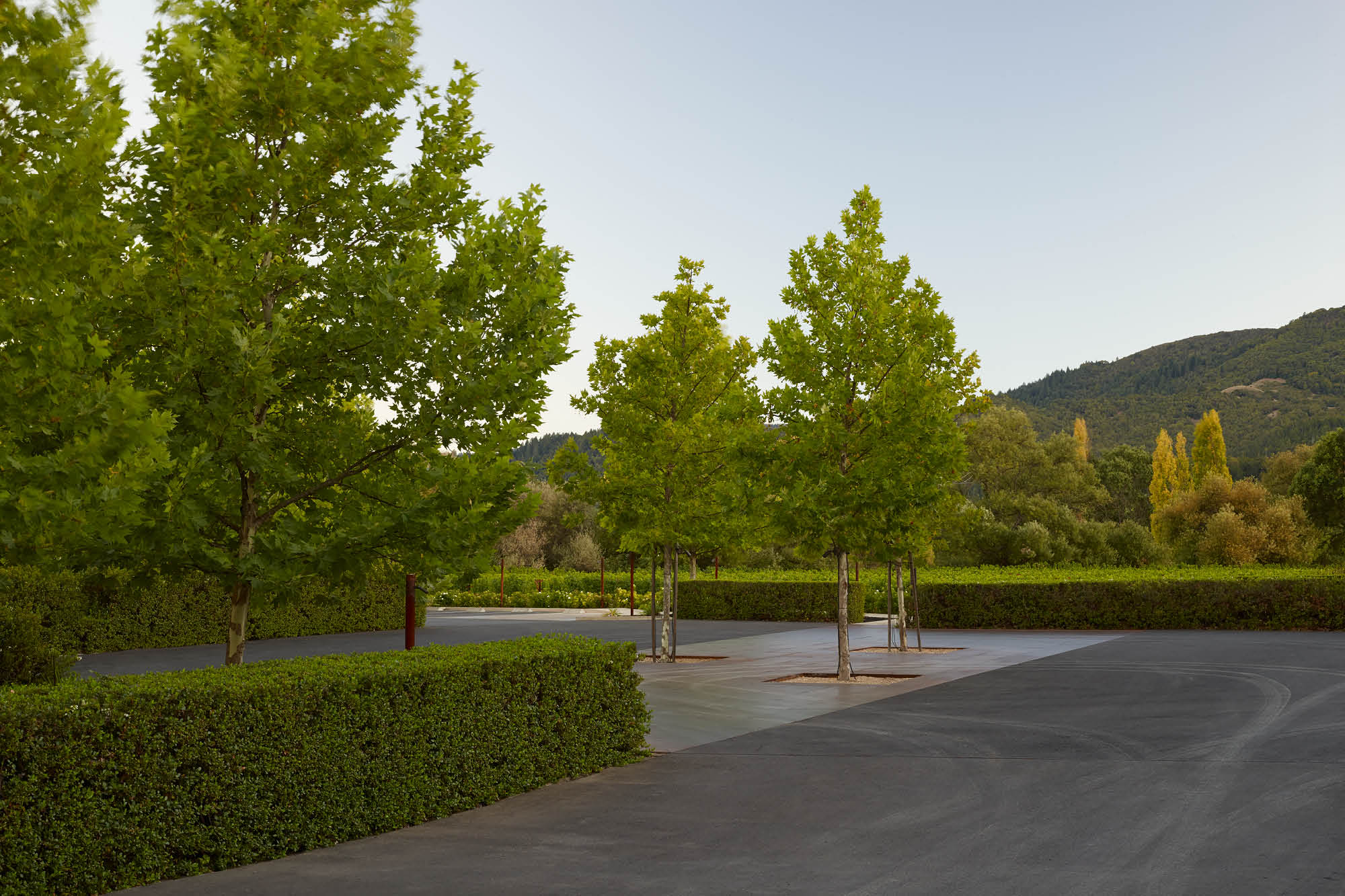 Alpha Omega Winery - ACLA