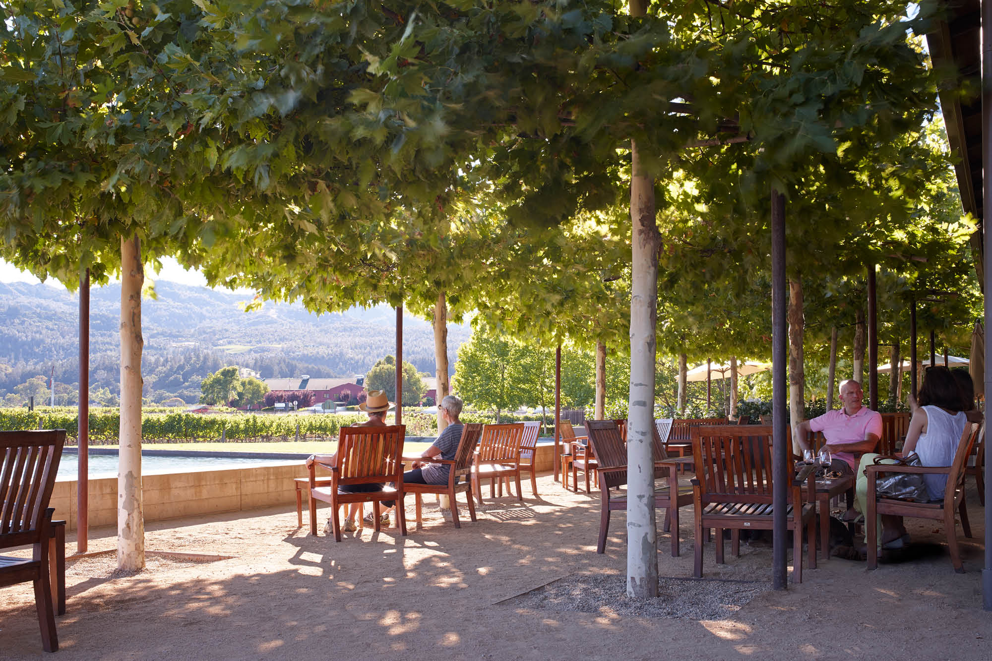 Alpha Omega Winery - ACLA