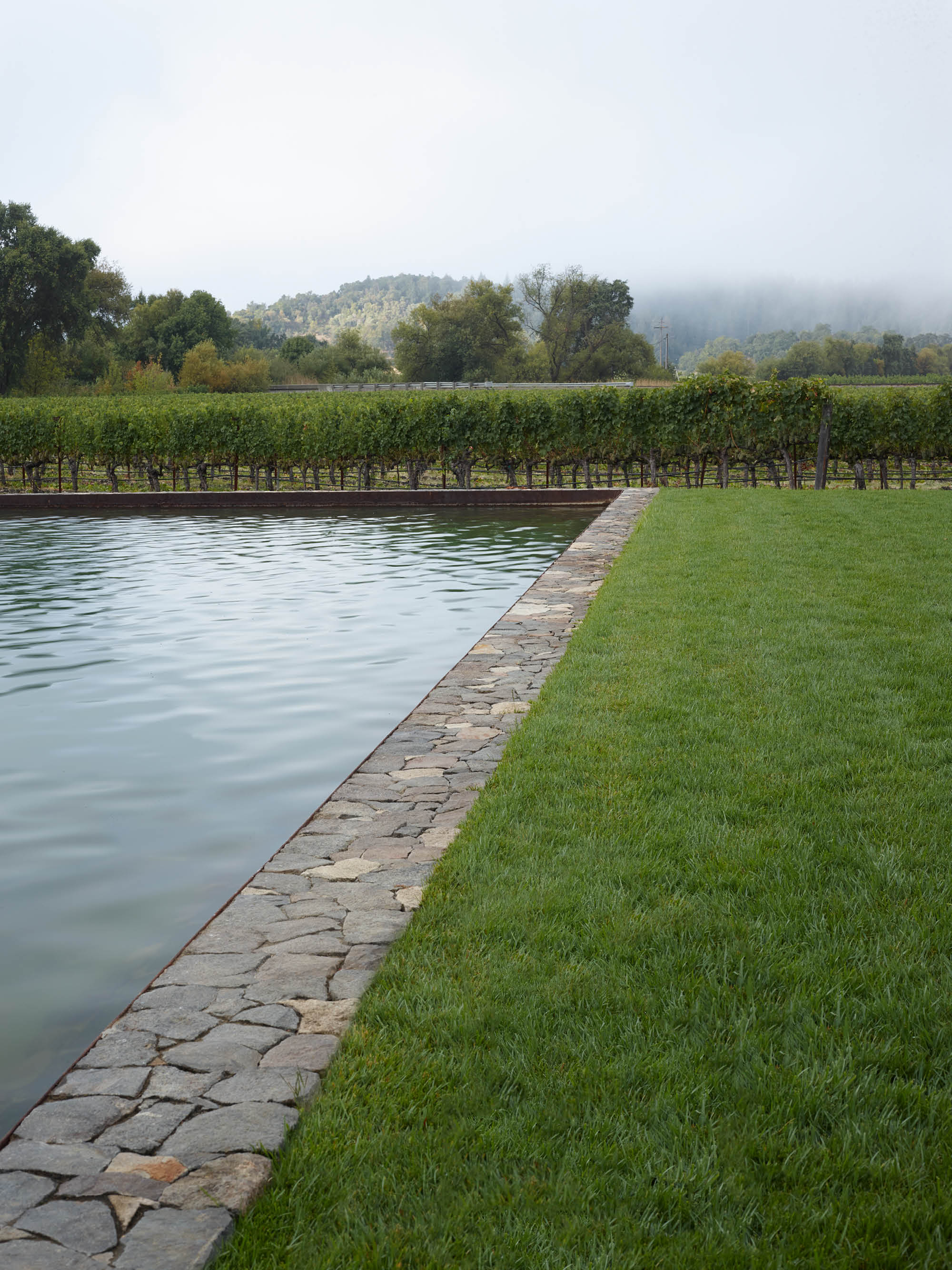 Alpha Omega Winery - ACLA