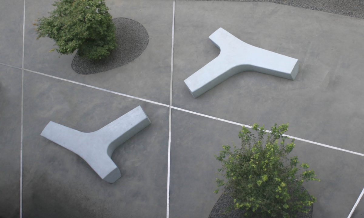 Maximino Martinez Commons - ACLA