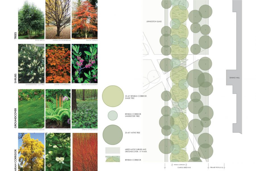 rutgers-university-livingston-campus-open-space-design-guidelines-acla
