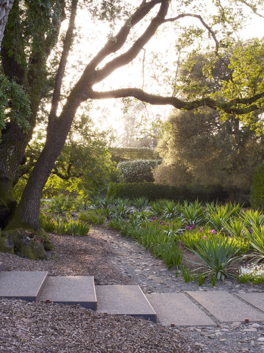 Stone Edge Farm - ACLA