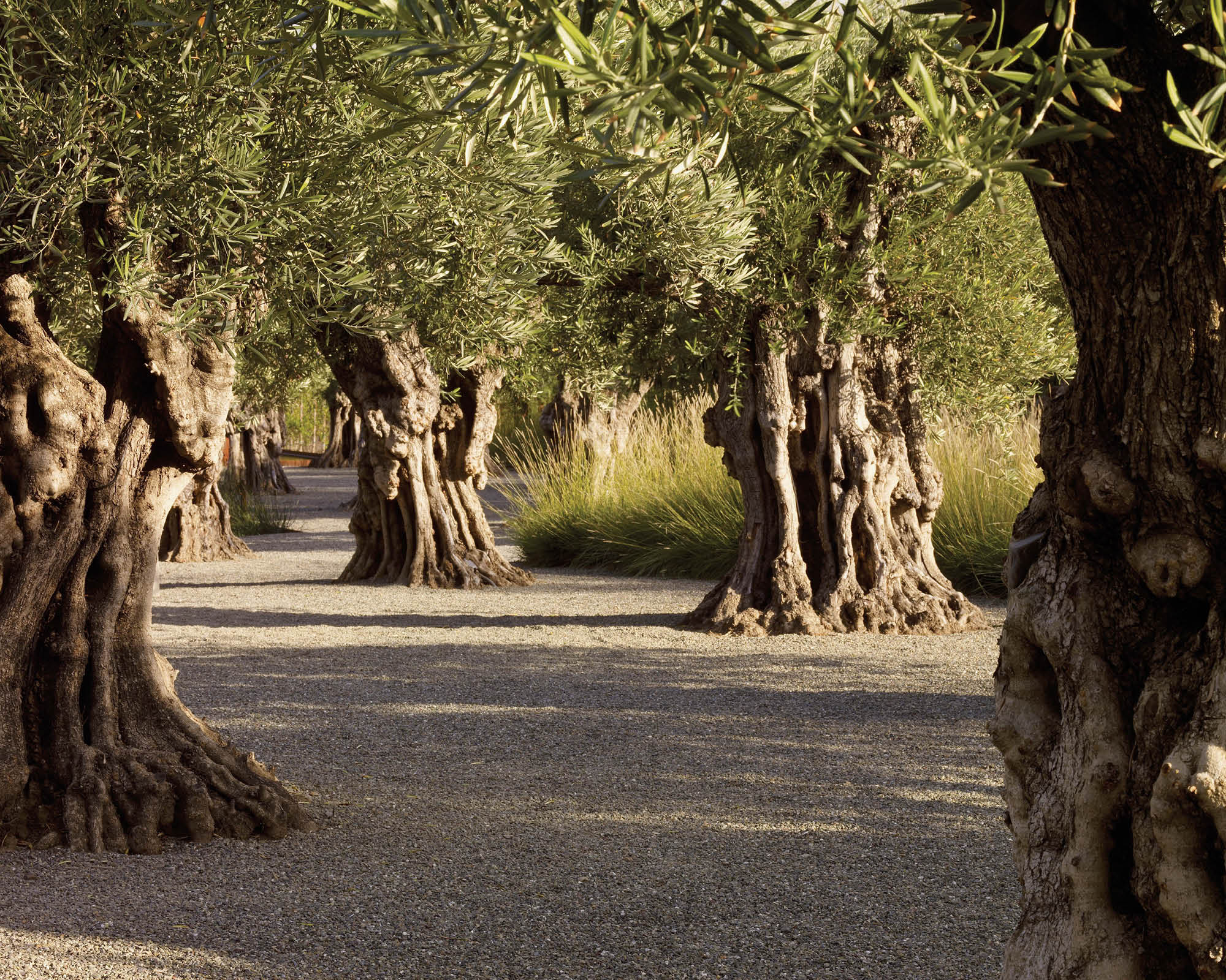 Stone Edge Farm - ACLA