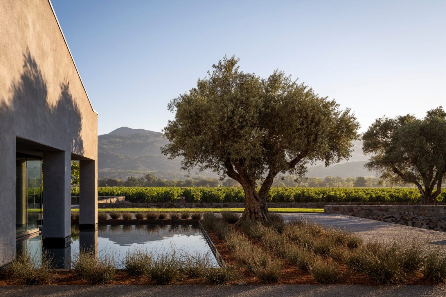 Alpha Omega Winery - ACLA
