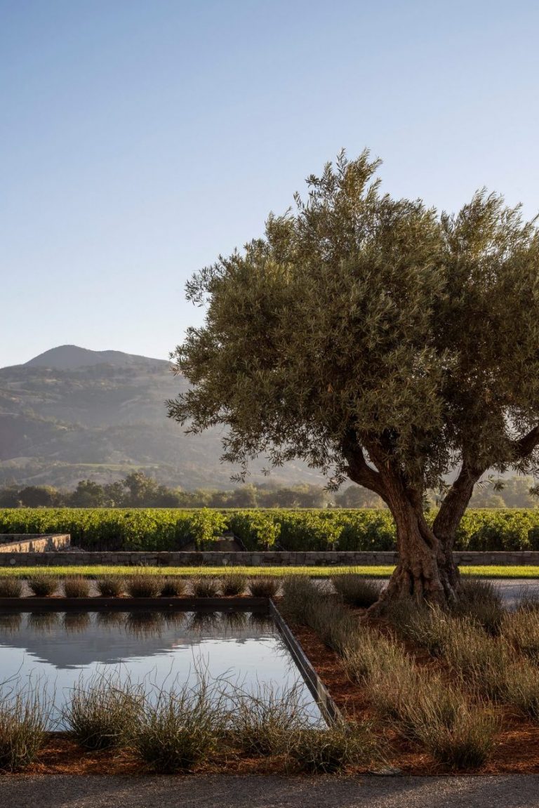 Cyrus Restaurant - ACLA